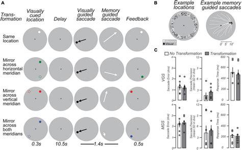 Working Memory Task Schematic And Behavioral Data A Schematic Of Download Scientific Diagram
