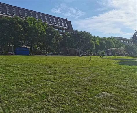 北大博雅塔下新添了“大草坪”