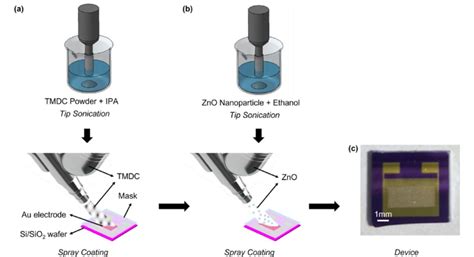 Schematic Of Tmdczno Based No 2 Gas Sensor Fabrication Process Tmdc