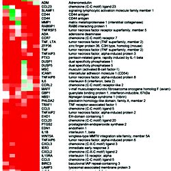 Cluster Analysis Of Genes Selected By Trend Criteria