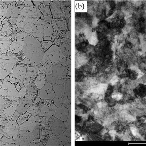Ti Grade 2 Microstructure On The Cross Section Of The Rod A In The Download Scientific