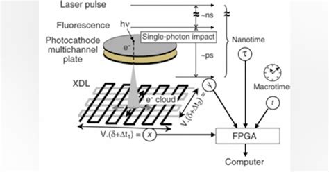 Detectors For Microscopy Next Generation 3 D Detector Improves Single