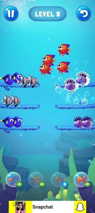 Fish Sort Color Puzzle Game Level 9 Sorting Game Wait For It Walkthrough Puzzlegames Fish Sort Color Puzzle Game Level 9 Sorting Game Wait For It Walkthrough Puzzlegames