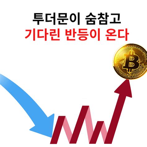 비트코인 반등전략 공유