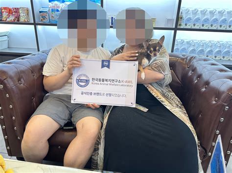 치와와 초코 비숑프리제무료입양사이트 포메라니안무료입양사이트 말티즈무료입양사이트 말티푸무료입양사이트 푸들무료입양사이트 먼치킨무료입양사이트 랙돌무료입양사이트 브리티쉬숏헤어무료