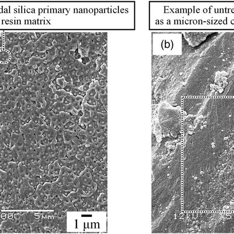 Sem Micrographs Of Selected Areas Of Epoxy Resin Composites Fabricated Download Scientific