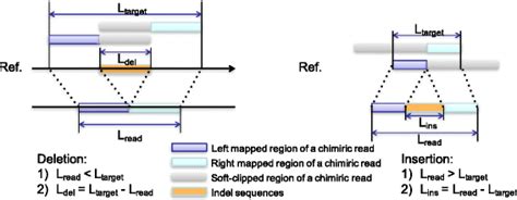 Transindel Indel Detection From Dna And Rna Sequencing Data Rna Seq