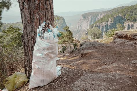 산의 자연 공원에서 쓰레기와 쓰레기의 큰 가방 환경의 인류학적 오염의 사회적 문제 쓰레기 봉투에 대한 스톡 사진 및 기타 이미지 쓰레기 봉투 쓰레기 0명 Istock