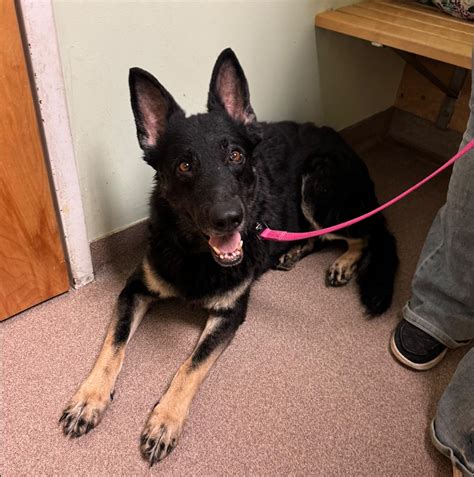 Finding Asha Had Her Annual Ophthalmology Check Up As She Has A Genetic Eye Condition Commonly