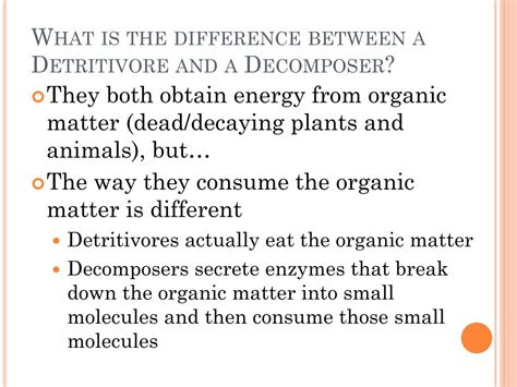 Ppt Ecology Powerpoint Presentation Free Download Id 5660098