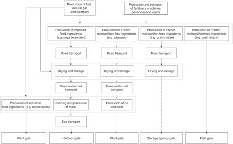 Flow Diagram For Production Of The Feed Ingredients Included In The