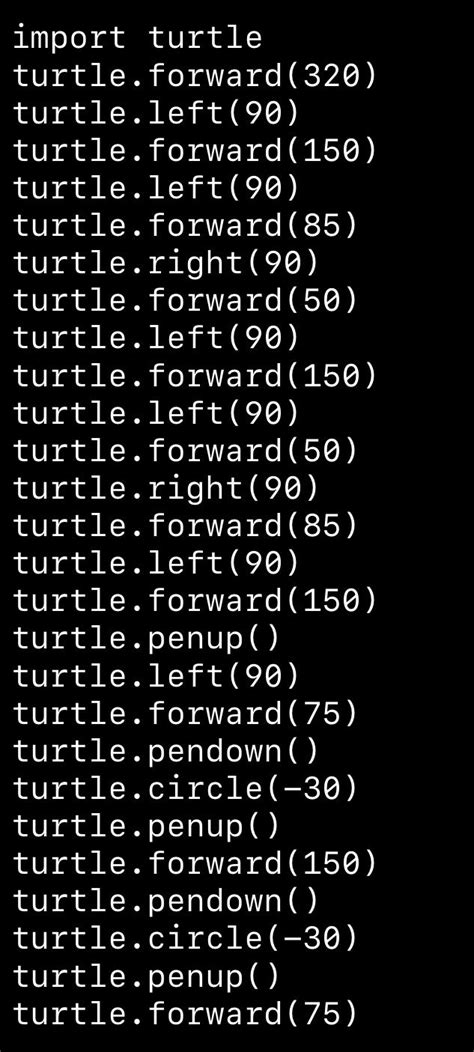 what is turtle graphics sakina haider