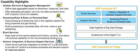 Sap Edge Services