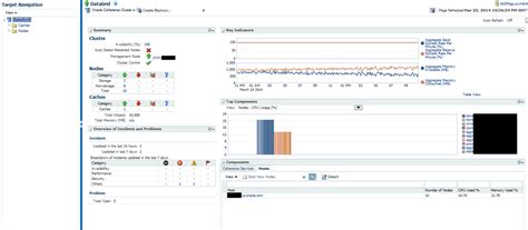 Monitoring A Coherence Cluster