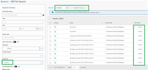 powerprotect data manager wrong host name displayed when performing vm