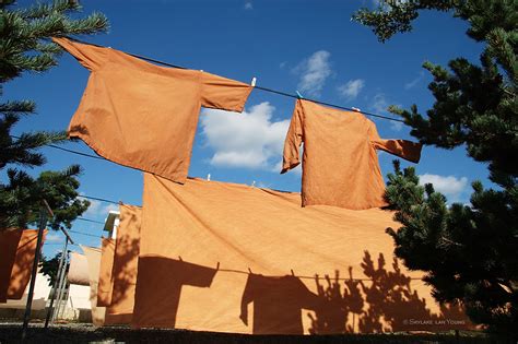 바람이 소리를 만나면 꼭두서니 그리고 풀과빛