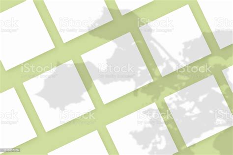 자연광은 녹색 질감의 배경에 누워 흰색 종이의 여러 사각형 시트에 식물에서 그림자를 캐스팅합니다 모형 0명에 대한 스톡 벡터 아트 및 기타 이미지 Istock