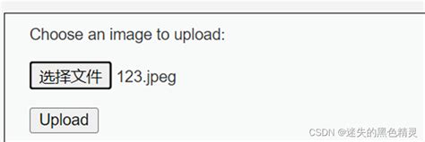 文件上传漏洞实验 通过截取请求绕过前端javascript验证进行文件上传 Csdn博客 文件上传漏洞实验 通过截取请求绕过前端javascript验证进行文件上传 Csdn博客