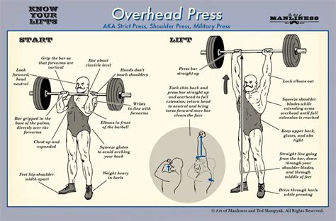 Barbell Overhead Press Form Guide