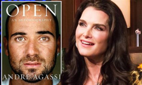 Brooke Shields And Andre Agassi