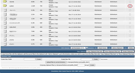 How To Use File Manager In Direct Admin Panel Website Solution
