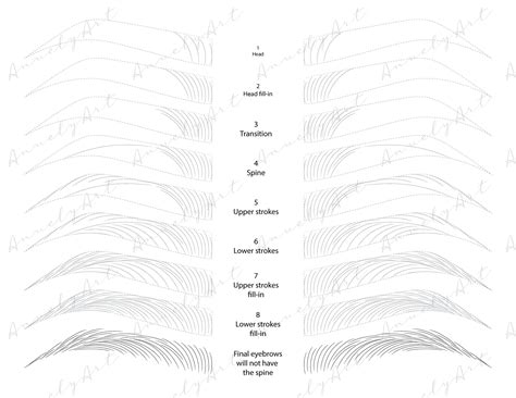 Microblading Patterns, Nanoblade Pattern, Basic, Advance, Curve, S Shape, Step-by-step Pattern ...