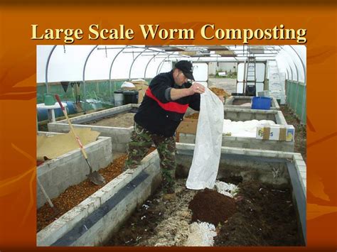 PPT Vermicomposting Worm Composting PowerPoint Presentation Free Download ID 5616711
