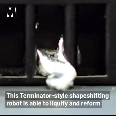 The Terminator Style Shapeshifting Robot Us Able To Liquify And Reform Robot We Think Its