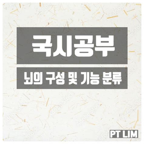 물리치료사 국시공부 인간의 뇌의 구성 및 기능 영역분류 네이버 블로그