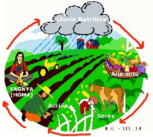 Importancia Del Medio Ambiente Eduardo Elvir