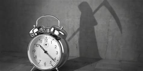 Umbraco 8 End Of Life What It Means For Your Website And What To Do About It