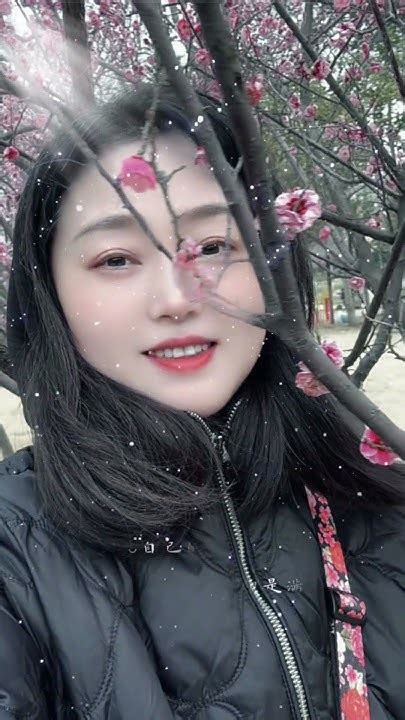 梅花笑春风 你也来笑笑 梅花春天怎么能不赏花 音乐分享 早安 Youtube