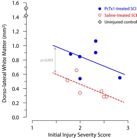 Cross Sectional Areas Of Luxol Fast Blue Lfb Staining Of The Download Scientific Diagram