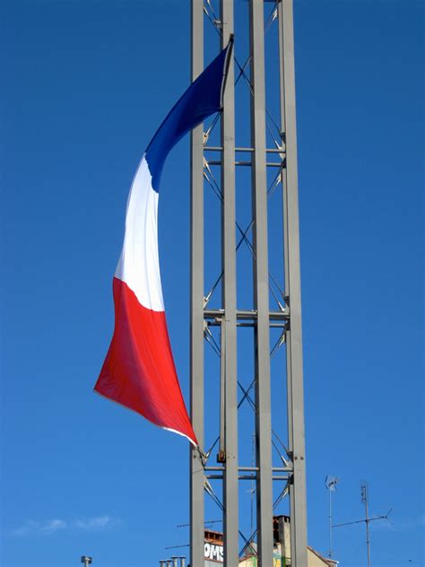 Fichieroriflamme Tricolore — Wikipédia