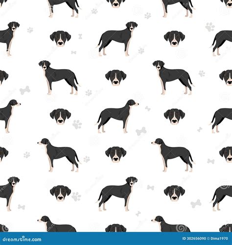 Stephens Cur Seamless Pattern All Coat Colors Set Stock Illustration