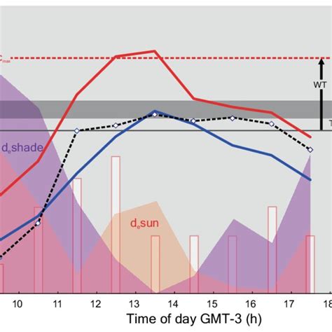 Circular Histogram Rose Diagram Representing The Daily Activity Per