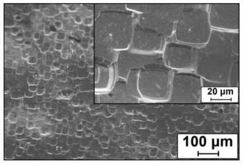 Materials Special Issue Anodized Nanoporous Materials Porous Silicon Nanoporous Alumina