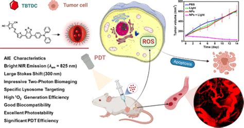 Highly Efficient Multifunctional Organic Photosensitizer With Aggregation Induced Emission For