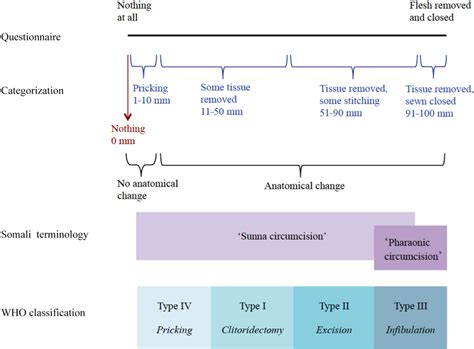 The Visual Analog Scale Was Used To Capture All Different Forms Of Download Scientific Diagram
