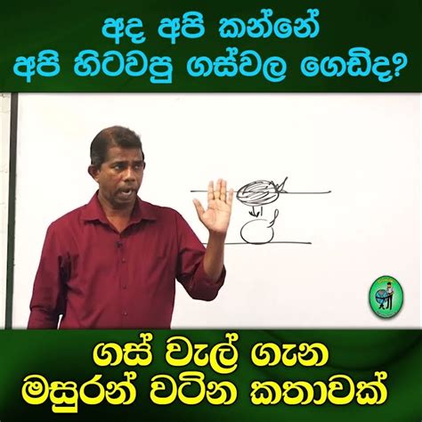 ගස් වැල් ගැන මසුරන් වටින කතාවක් Youtube