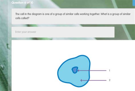 solved question 6 of 10 the cell in the diagram is one of a group of