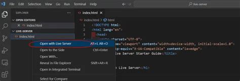 Visual Studio Code Live Server Quickstart Guide Donskytech