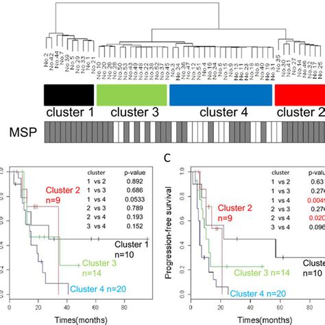 Clustering Of The Training Set And Survival Analysis Unsupervised