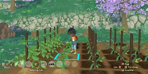 Mastering Crop Growing In Story Of Seasons A Wonderful Life Ultimate