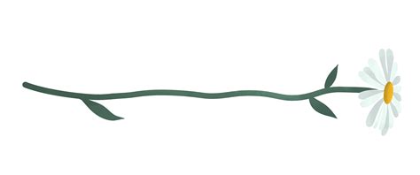 The Daisy Project Spring