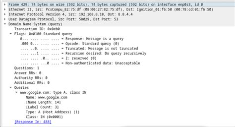 10 2 7 Lab Using Wireshark To Examine A UDP DNS Capture Answers