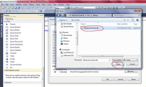 Asp Net Server Control