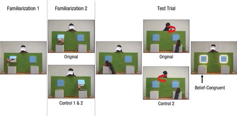 Figure 4 From Is Implicit Theory Of Mind A Real And Robust Phenomenon