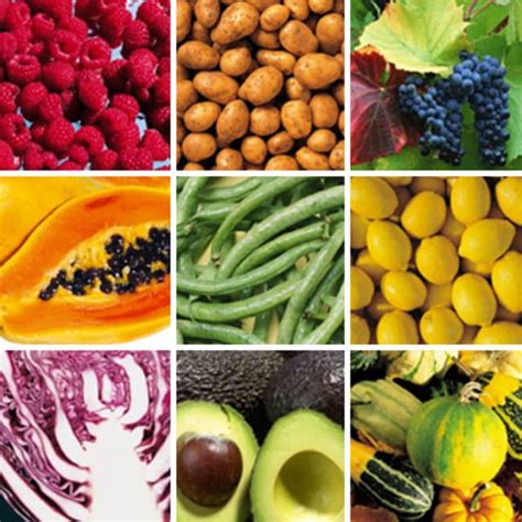 Thermo Scientific Immunocap Fruit And Vegetable Allergensdiagnostic