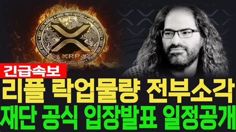 엑스알피 코인 리플xrp 긴급속보 락업물량 전부소각 재단 공식 입장발표 일정공개 필수시청 코미녀 Youtube